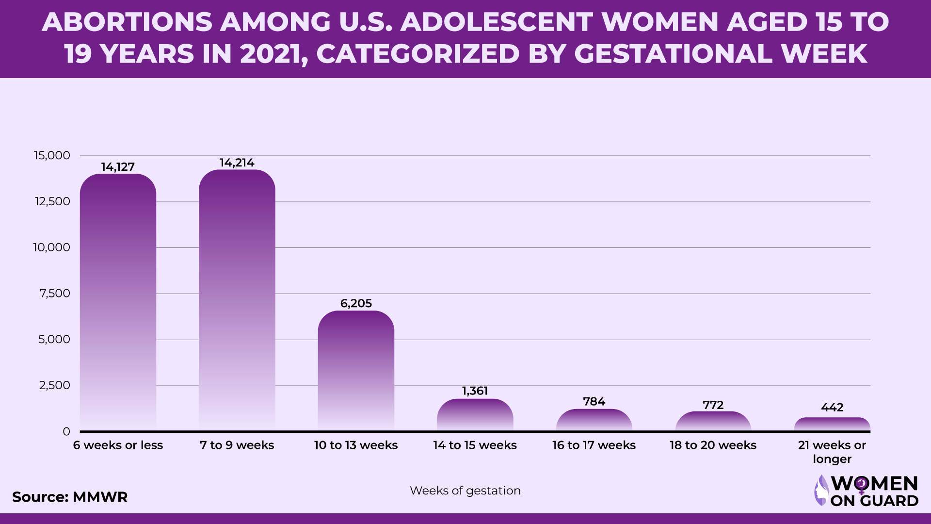 Abortion Statistics & Trends in 2024: What the Data Shows?