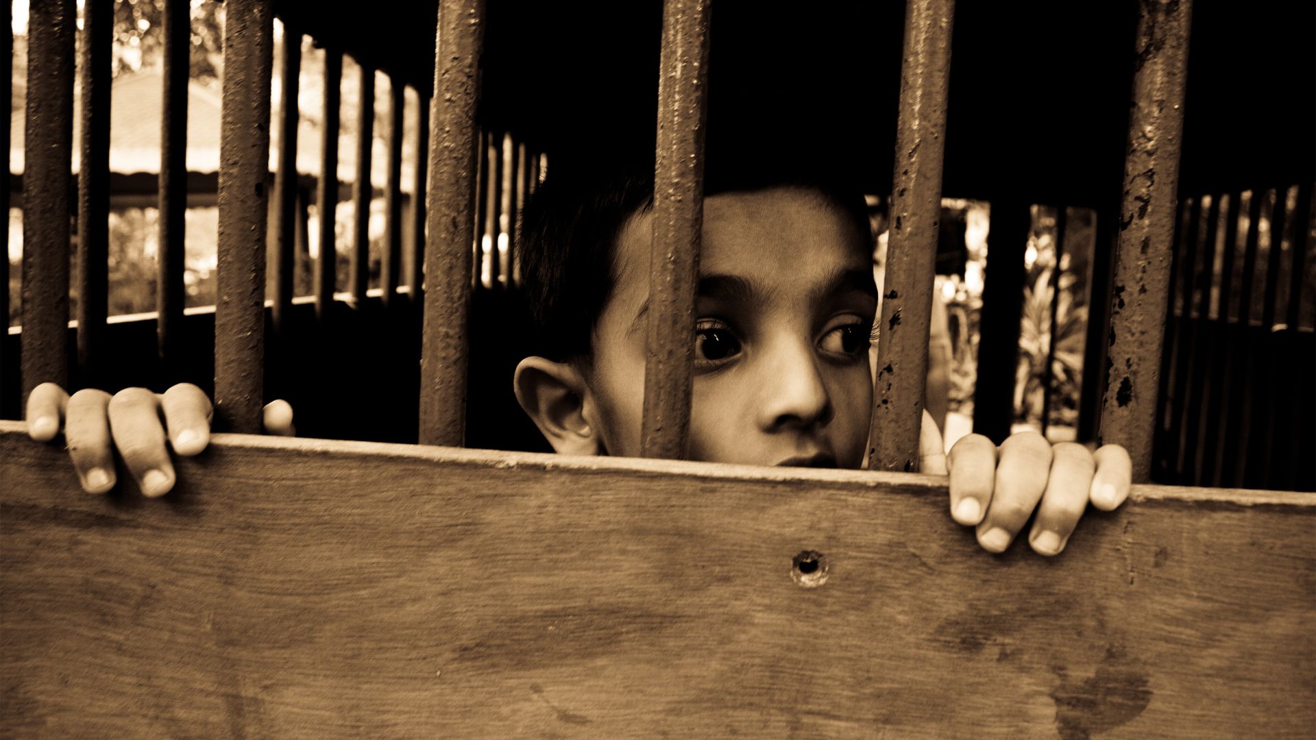 Human Trafficking Statistics in 2024: How Big Is the Problem